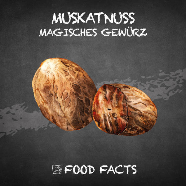 Gewürz – Muskatnuss | Pfitzenmeier